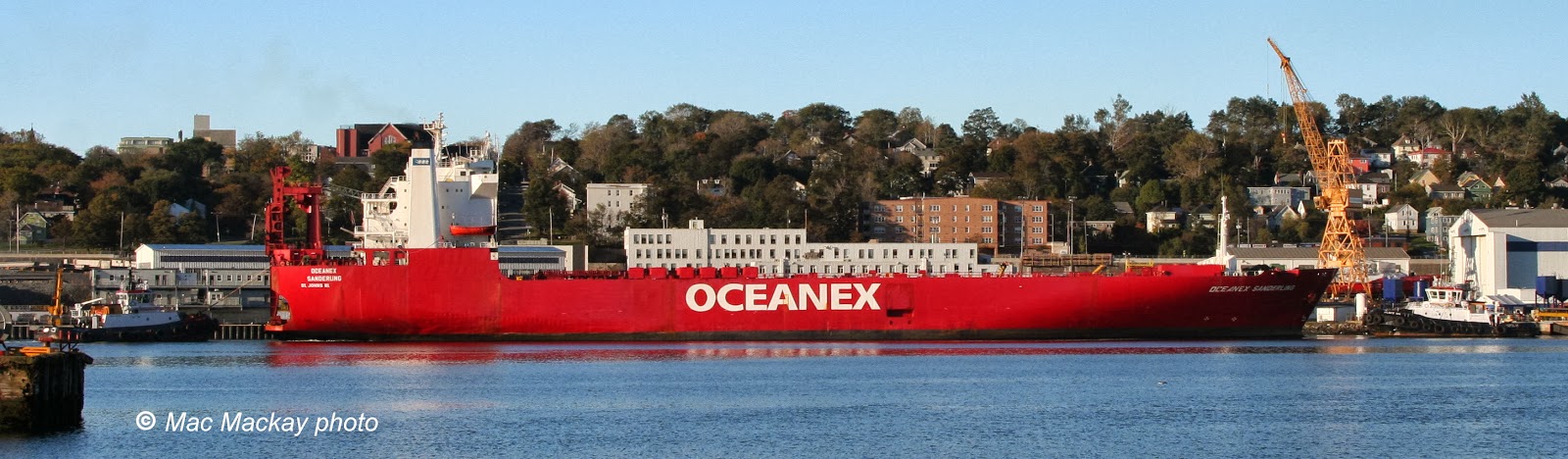 Shipfax: Oceanex Sanderling in the Novadock