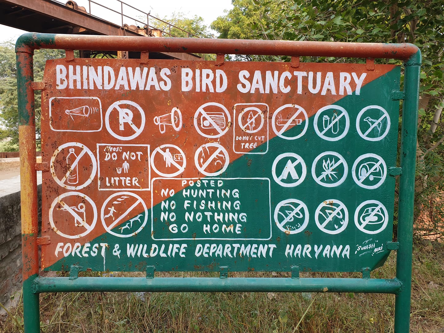 Wild Side of Mathew: Bhindawas Bird Sanctuary, Haryana