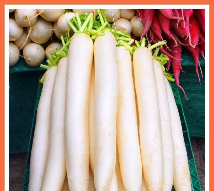 Muli(मूली) Ke Fayde/Benefits Of Radish In Hindi - We are fitt