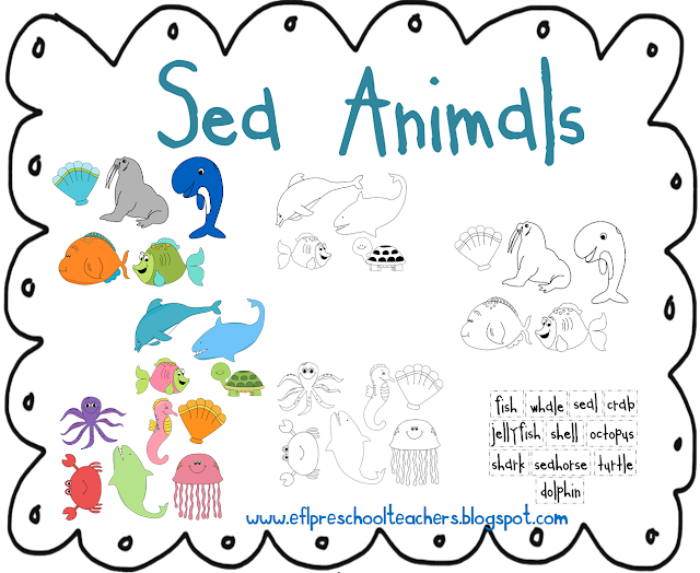 ESL/EFL Preschool Teachers: Sea Animals- Ocean Theme for Preschool ELL