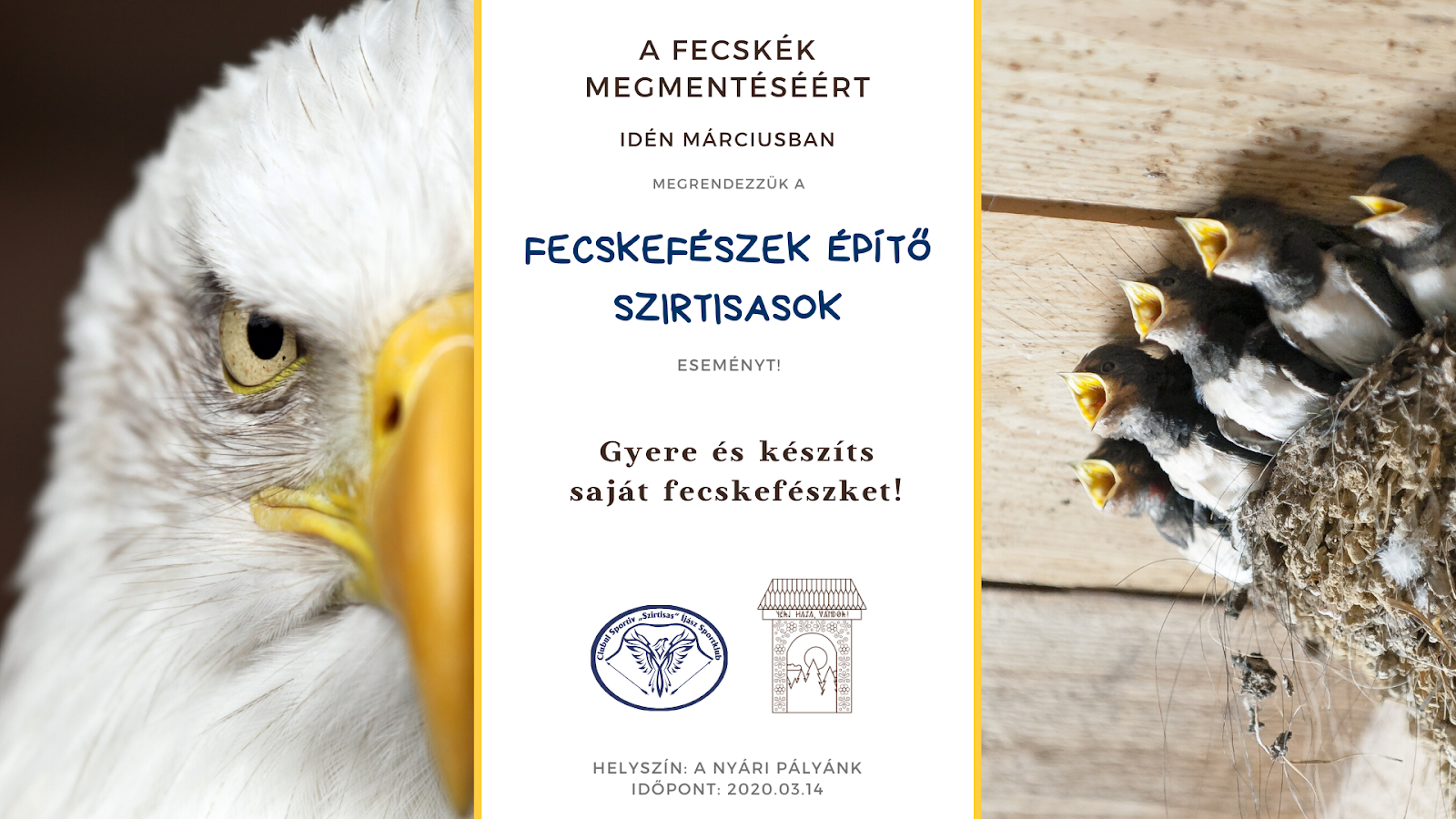 Alsósófalva: Fecskefészek építő Szirtisasok