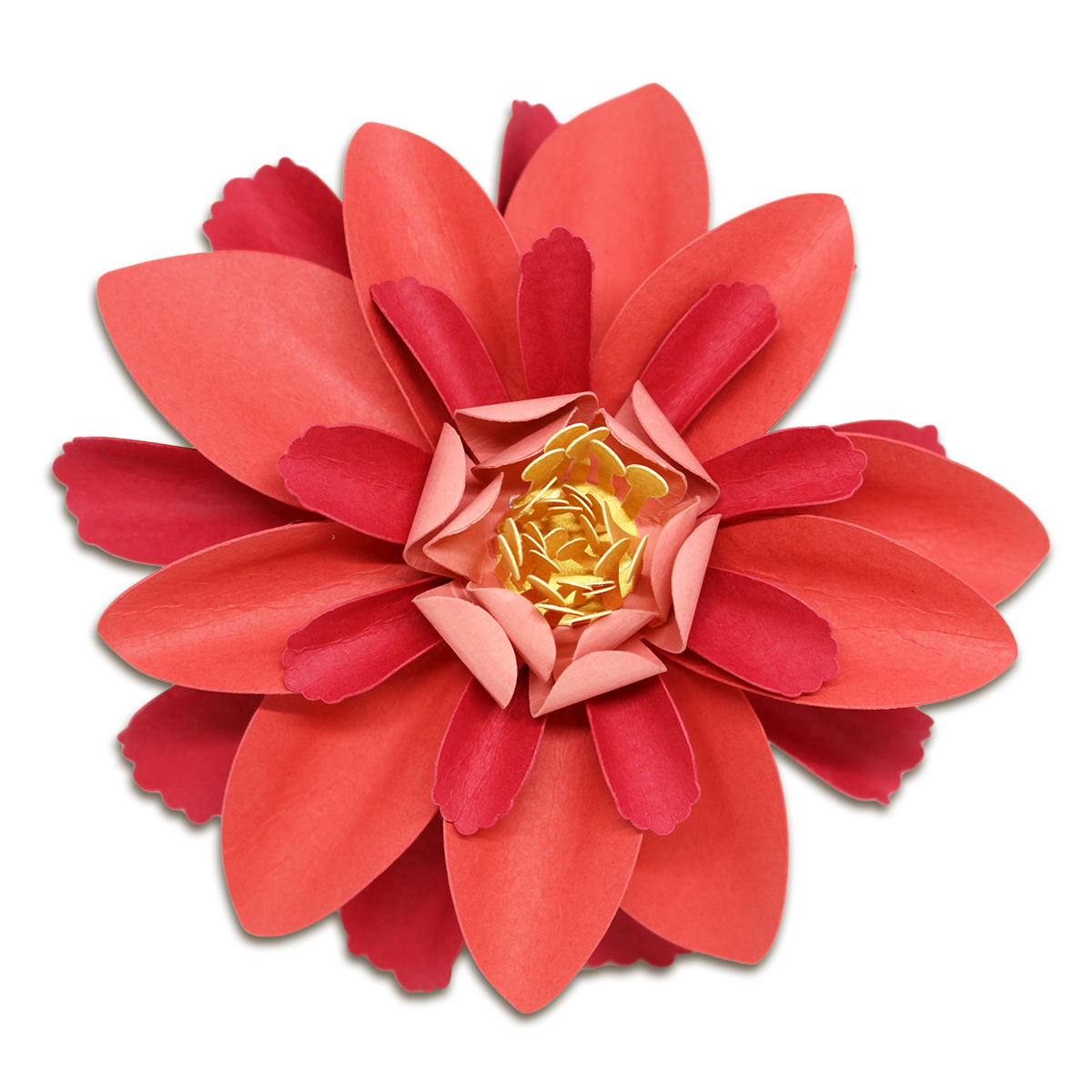 New Spring Flowers! | Bits of Paper