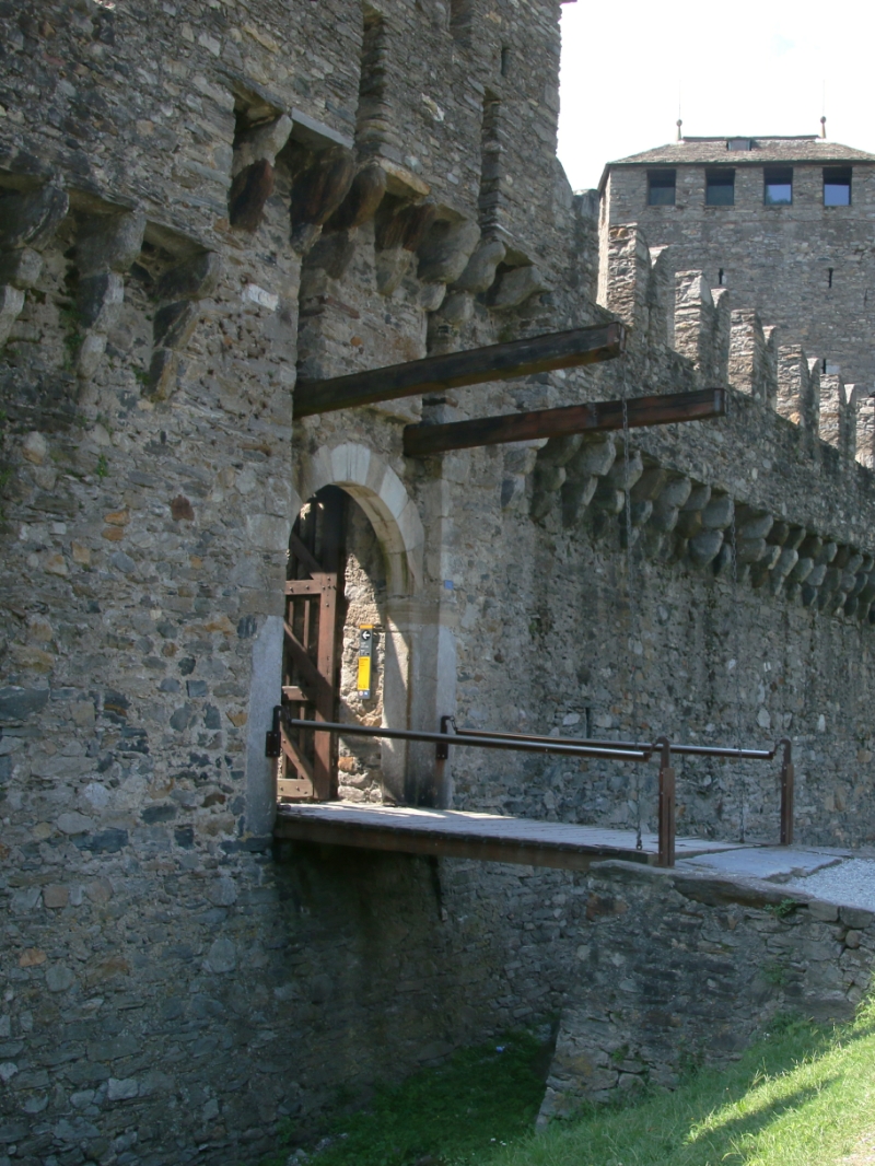 Boobook explores Europe