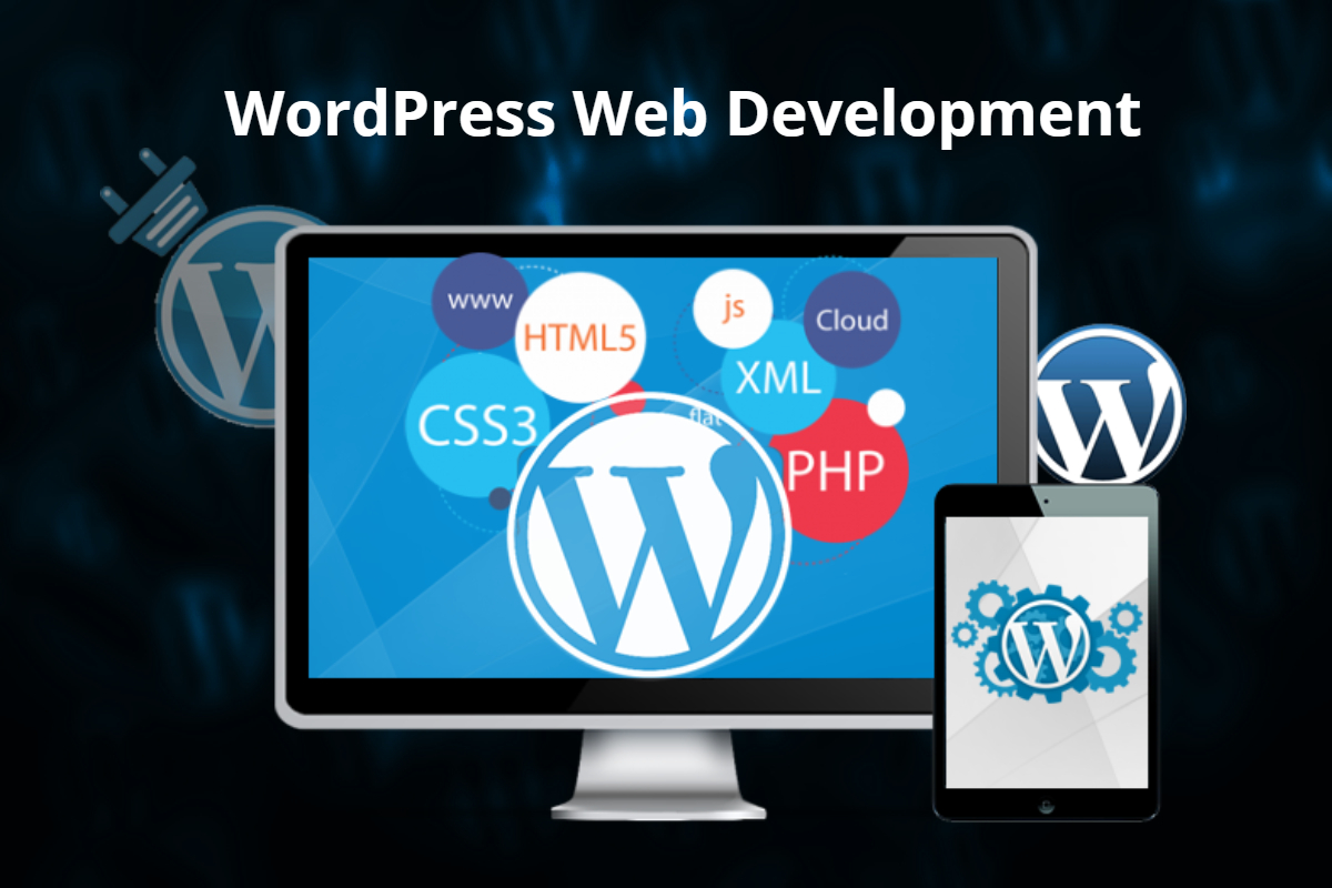 Choose the Best WordPress Web Development Company in India