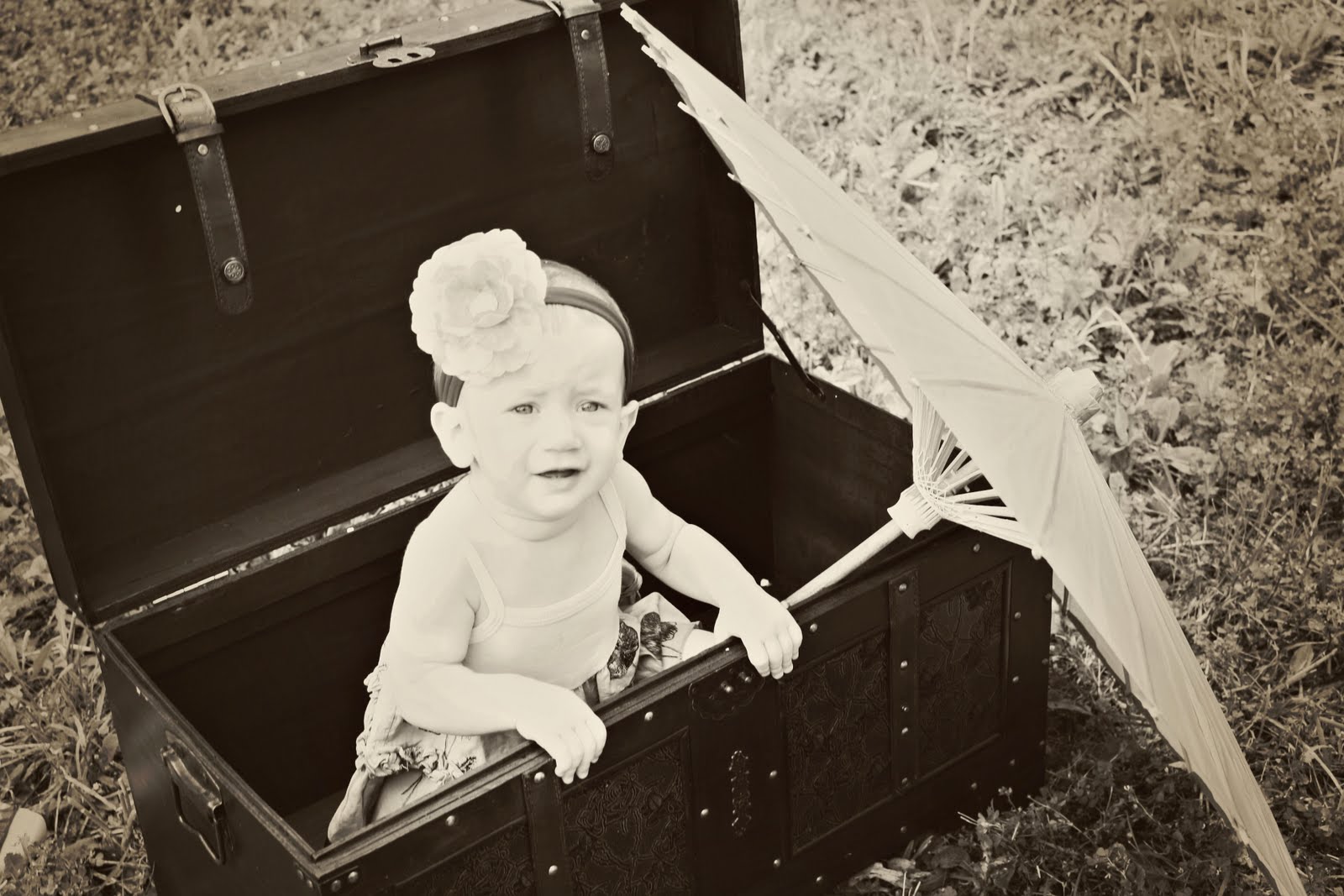 Laura Singleton Photography