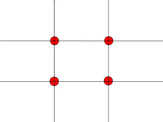 MSA Photo Adventures: How to Use the Rule of Thirds