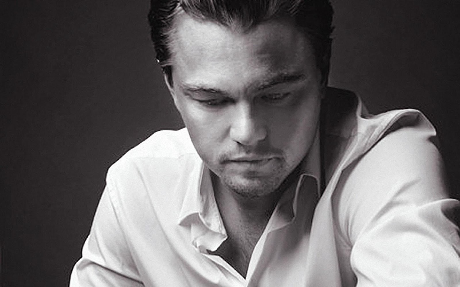 leonardo dicaprio picture/leonardo dicaprio beautiful picture/leonardo ...