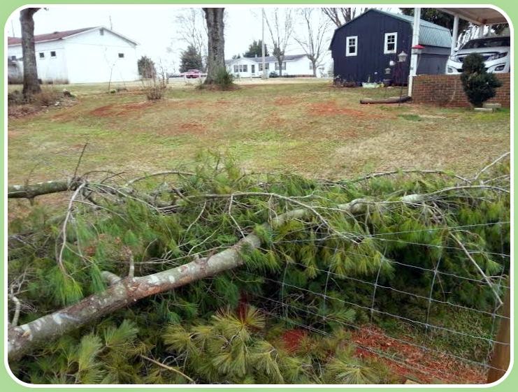 Wit's End Farm: Tree Down, Fence Down!
