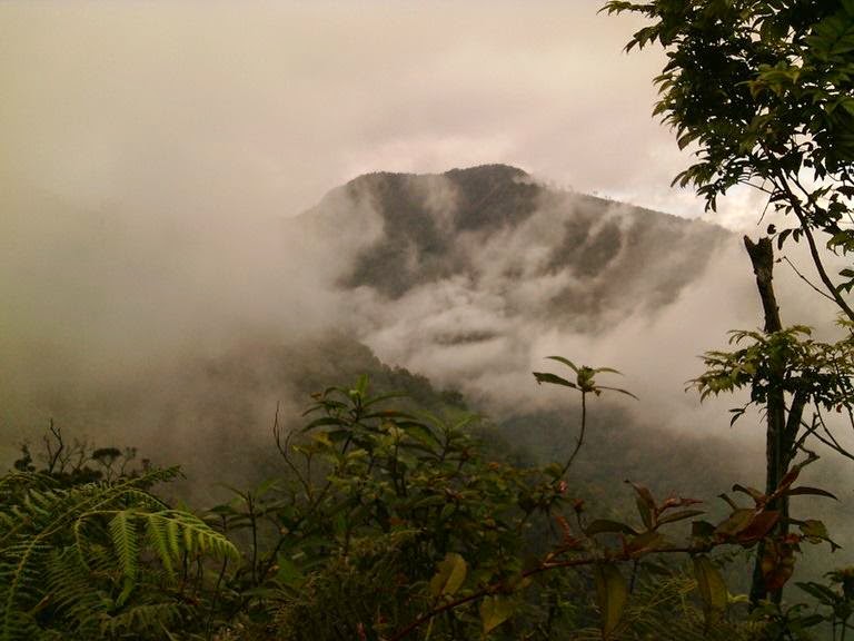 Cuap Cuap: Pendakian Gunung Puntang. Puncak Mega 2223 mdpl.