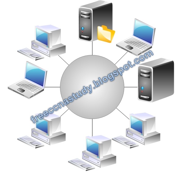 ccna study: Network Components and Topolgies