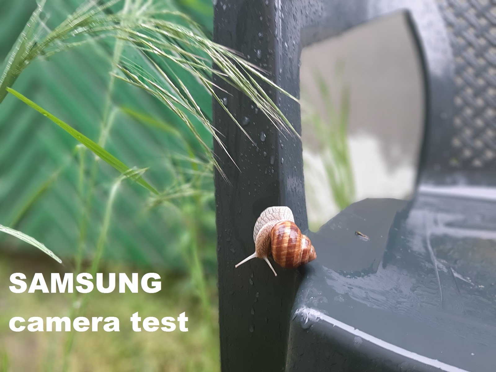 Samsung Galaxy camera test in bright and sunny weather