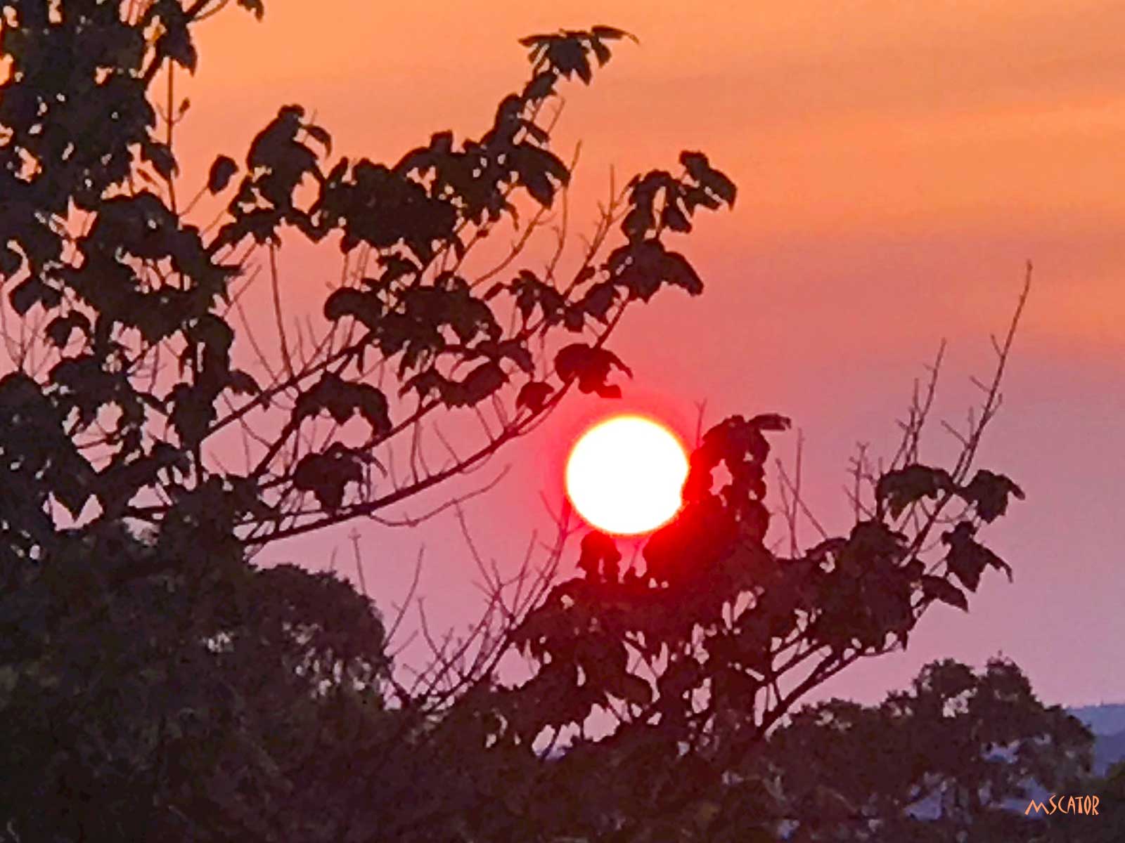 My Sunlight The Mystery Of Our Own Being my-sunlight-the-mystery-of-our-own-being