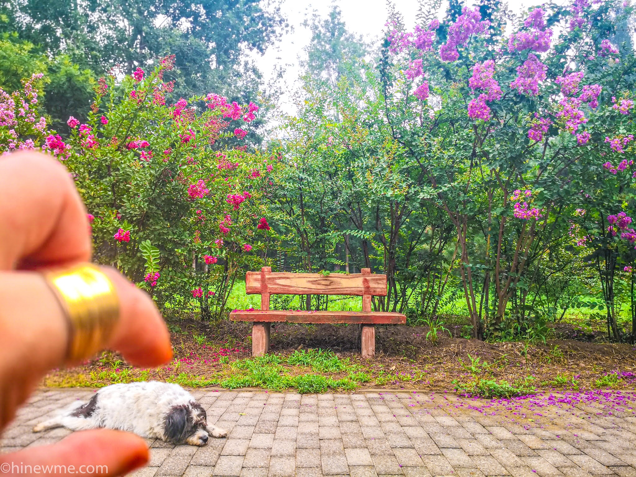 26+ flower landscape 5 post-production of photographic, come to see my ...