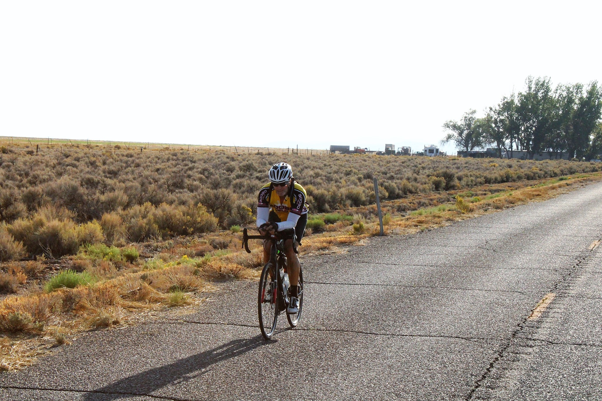 Steve's Cycling Blog: 2014 Joshua Tree Double Century