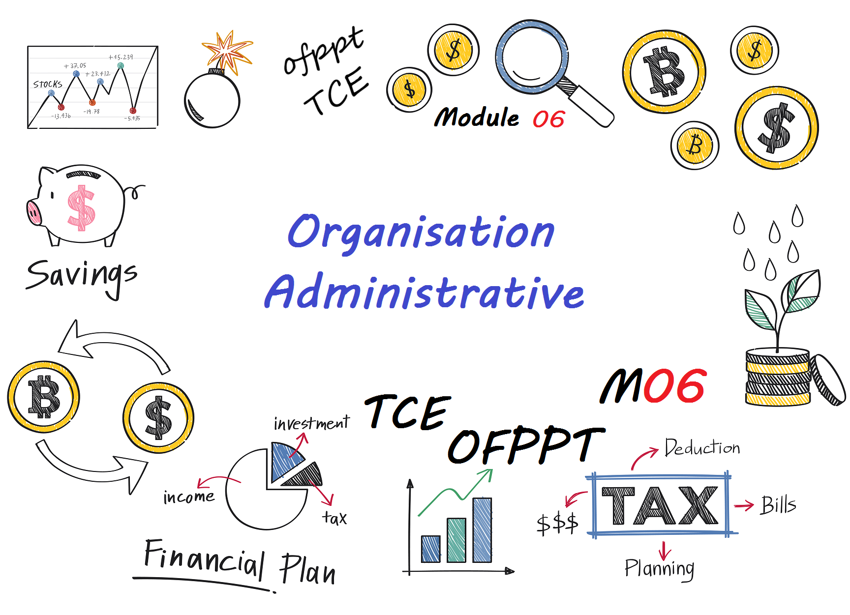 M06: Organisation Administrative (TCE)