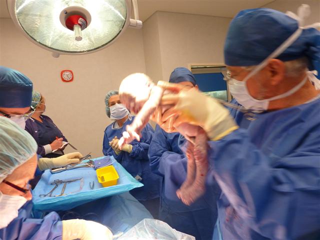 triplet pregnancy week by week Archives - Caitlin's Happy Heart