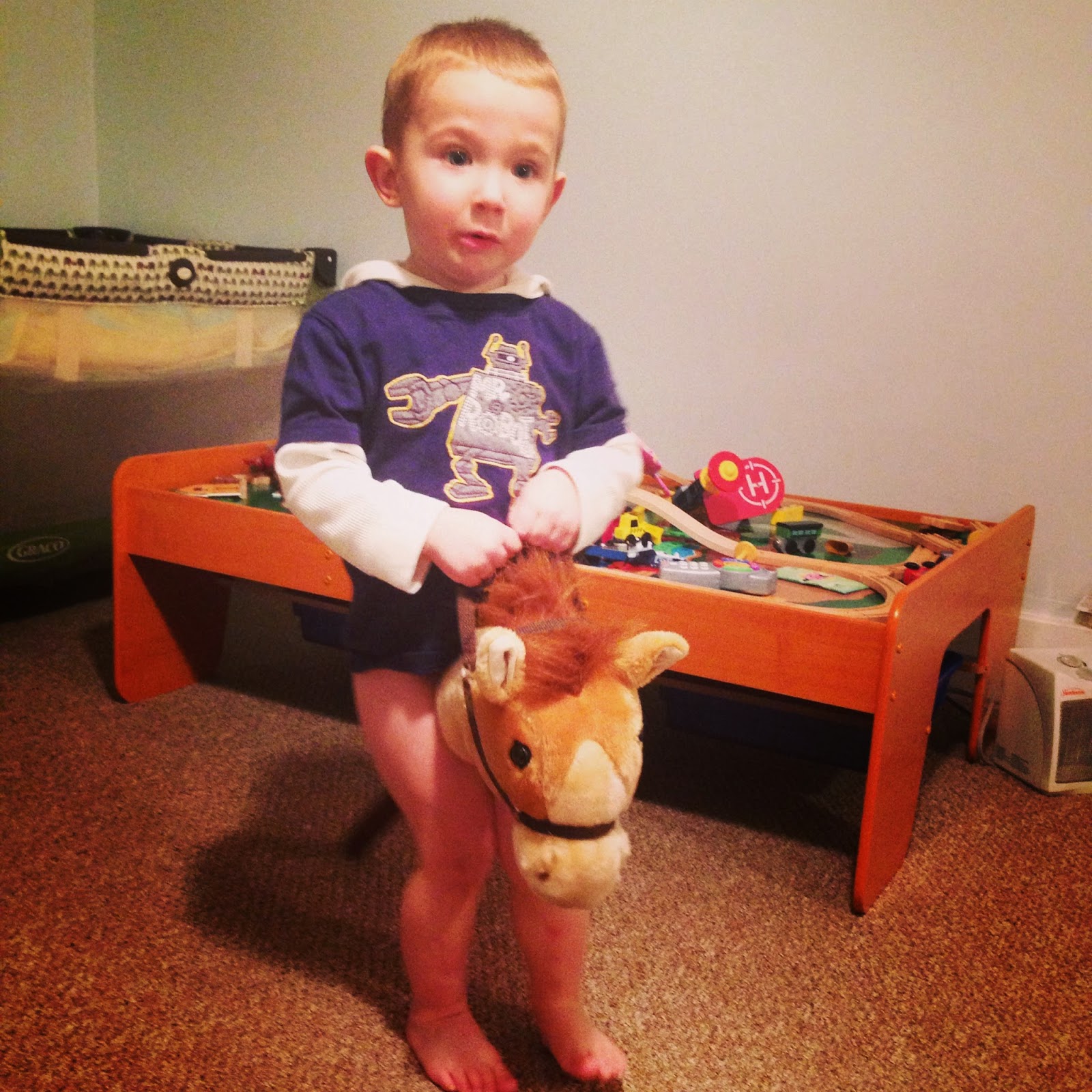 Essays on Motherhood: Adventures in Potty Training