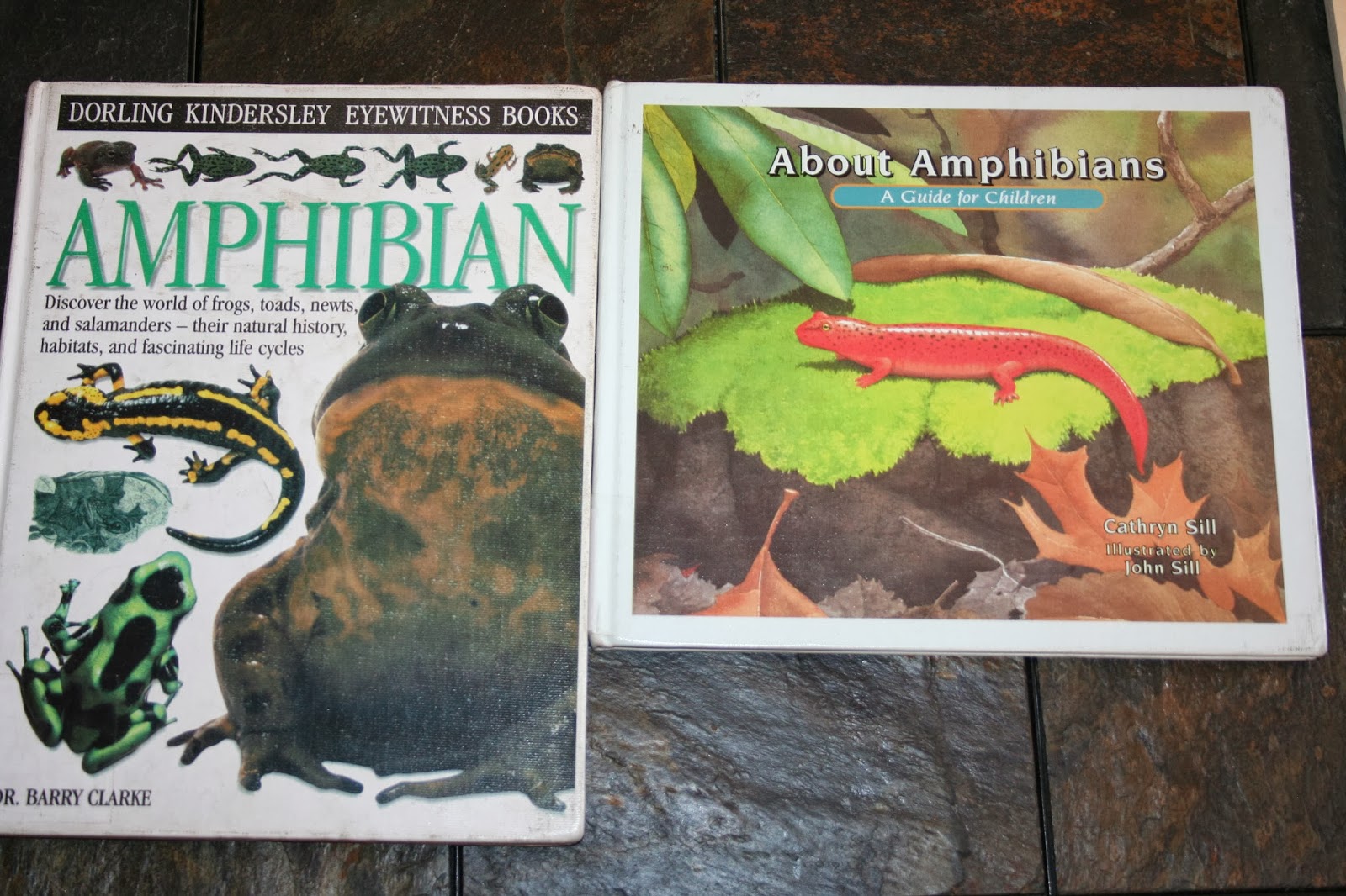 Our Country Road: Weekly Wrap Up 2014 Week 9