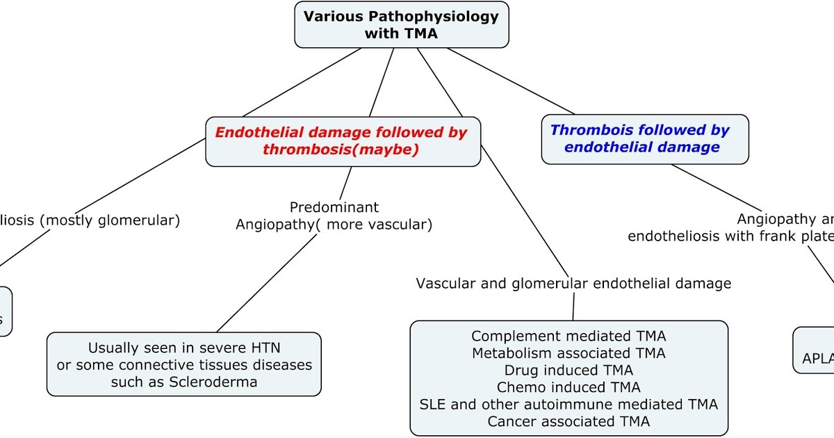 Nephron Power: Concept Map: Pathophysiology Breakdown of TMA