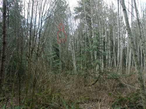 Strange Intruders and Leprechan Press