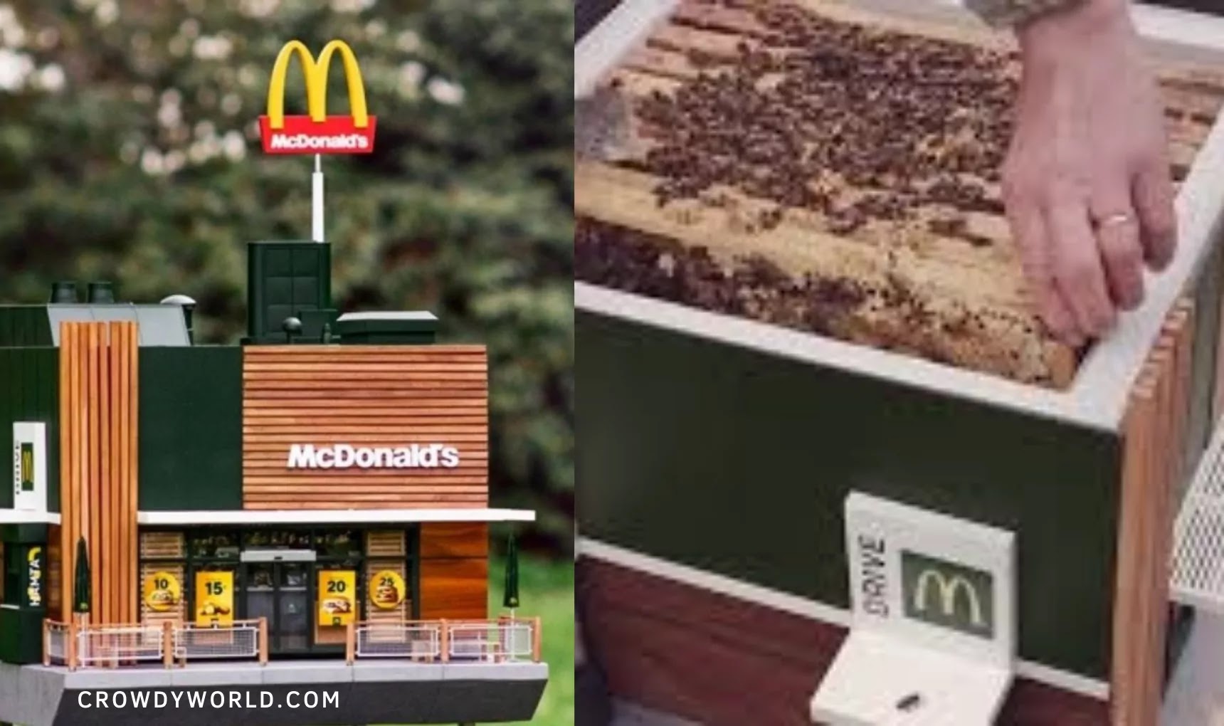 The World's First Tiniest McDonald's For Bees