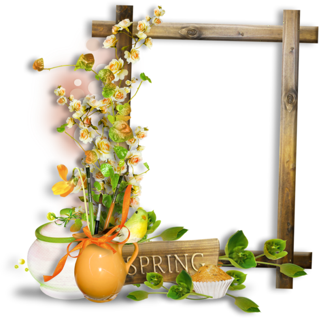 ForgetMeNot: Cluster spring frames