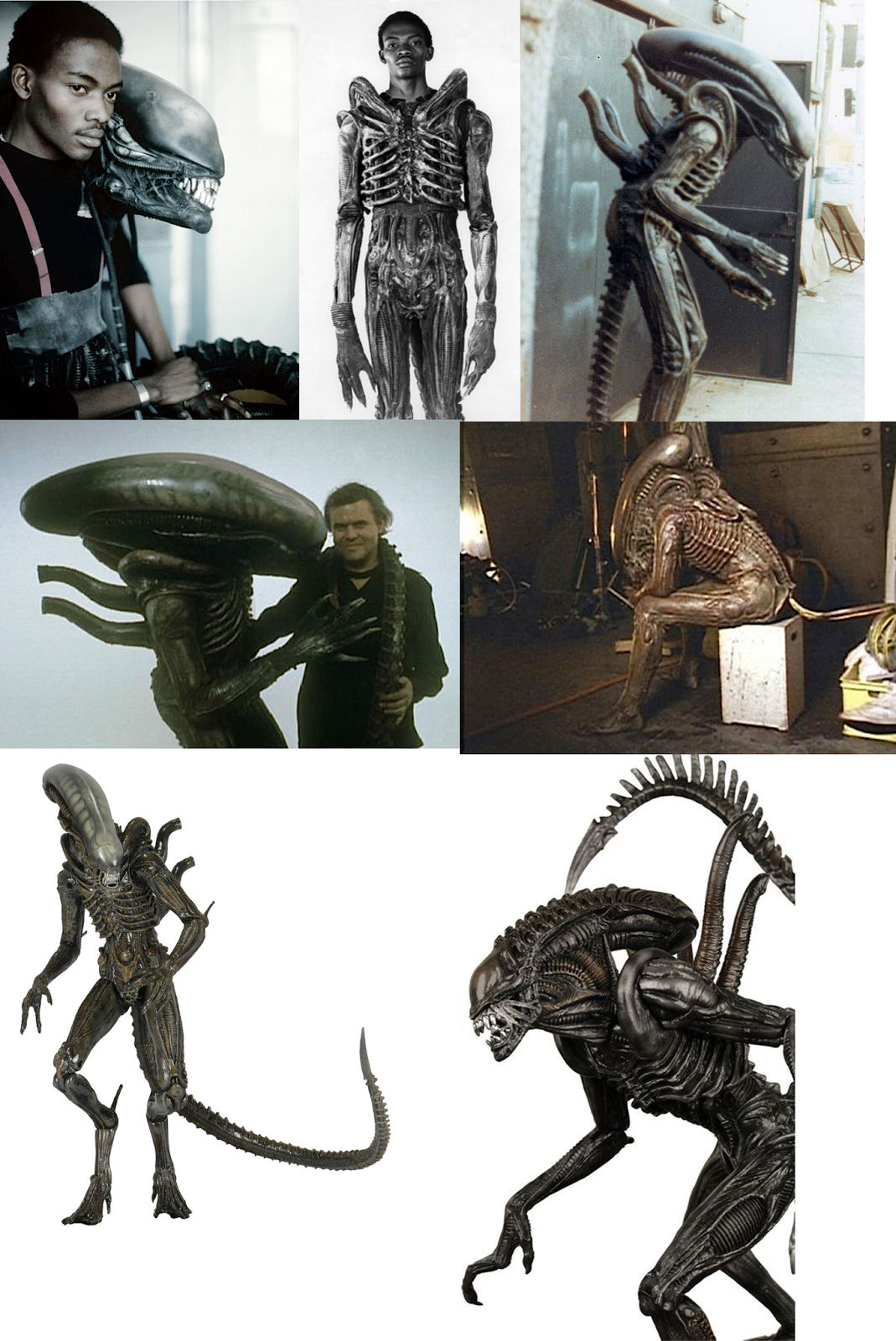 Honours Blog: The Creation of the Xenomorph