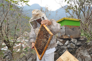 El Pacayal, Amatenango de la Frontera Chiapas: Actividad económica