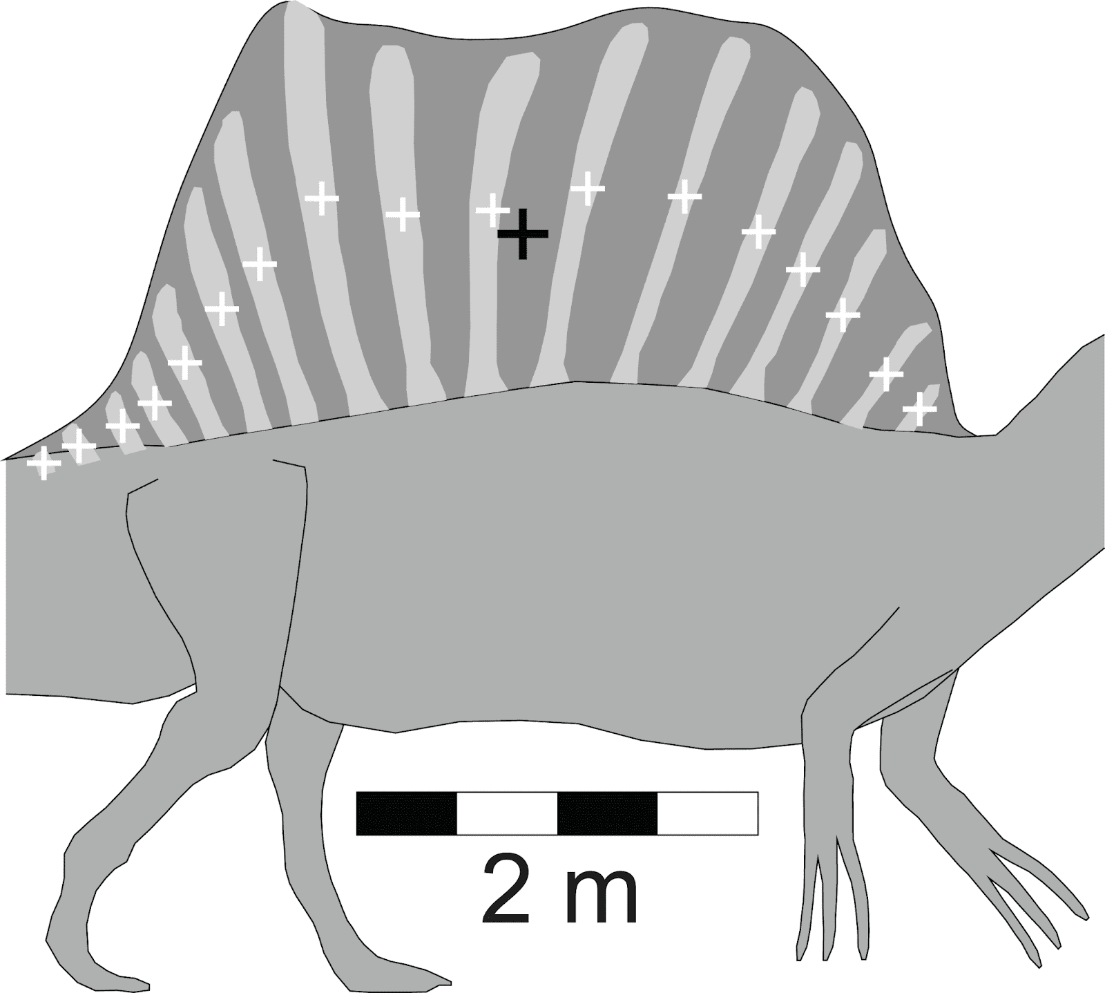 My Prehistoric Saga: Dino Bios: Spinosaurus.