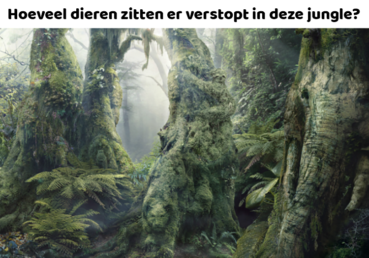 Optische illusies en gezichtsbedrog