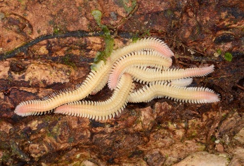 games with others: April 2015