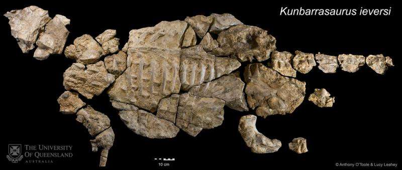 Species New to Science: [Paleontology • 2015] Kunbarrasaurus ieversi ...