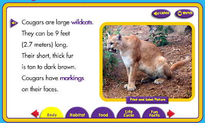 The Library Voice: A Room Full Of Kindergarten Researchers Connecting ...