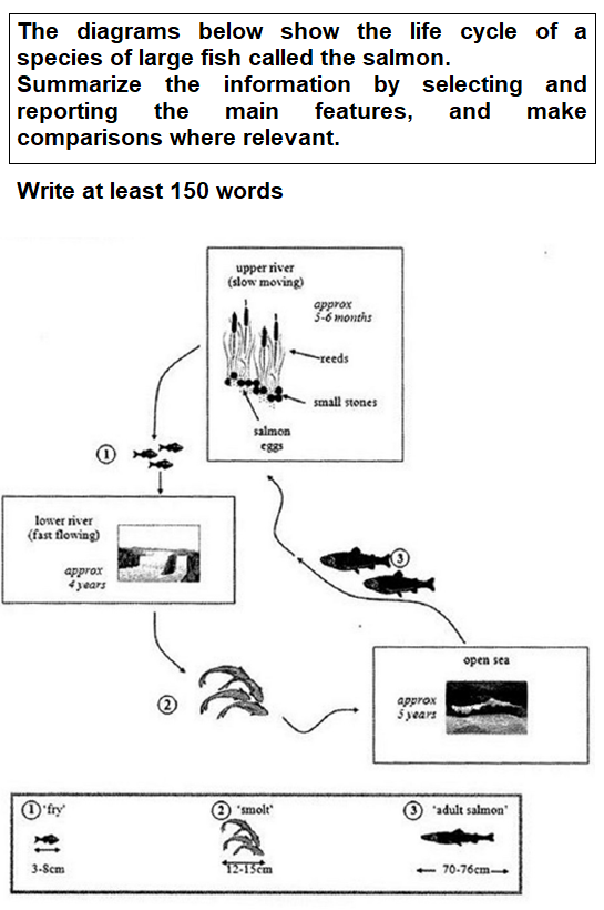 IELTS academic writing Task 1: Ielts Academic Writing Task 1 Diagrams ...