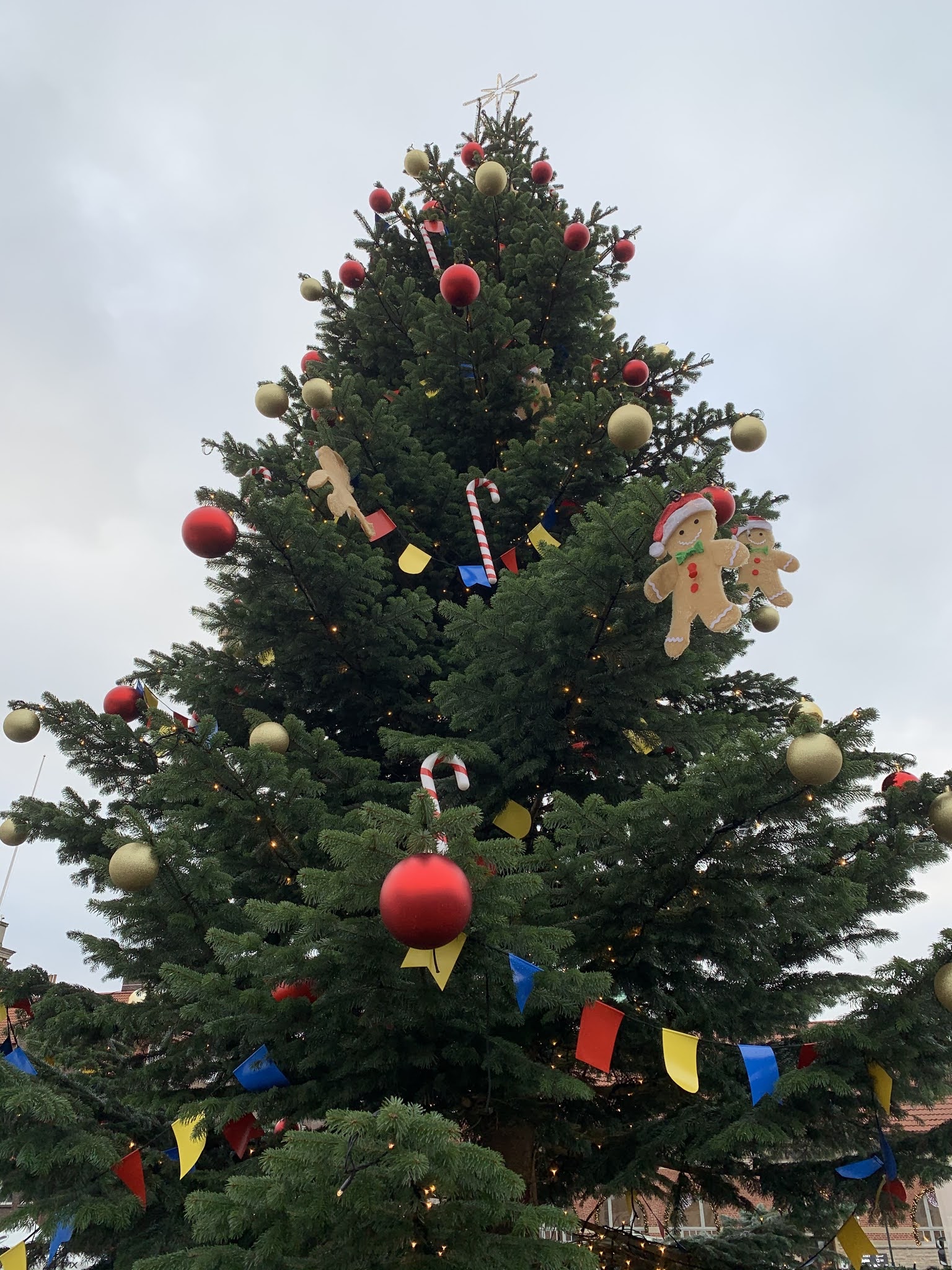 Destination Lund Sweden: Tourism, history and culture: Christmas trees ...