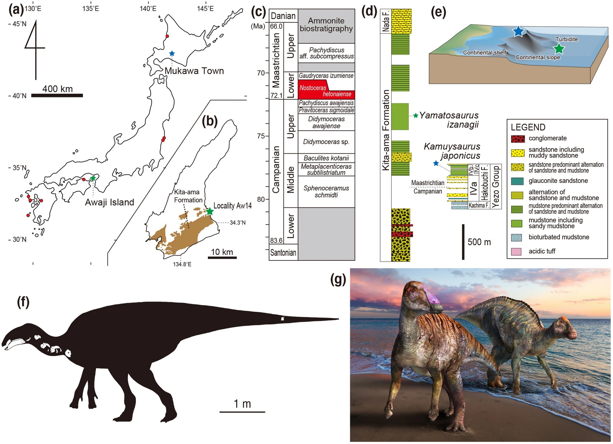 Species New to Science: [Paleontology • 2021] Yamatosaurus izanagii • A ...
