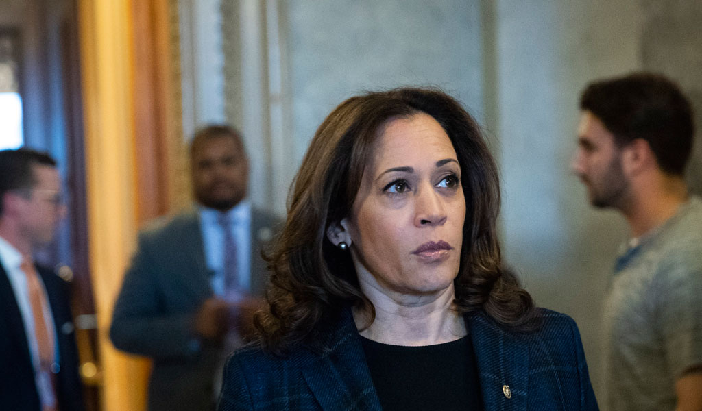 Brain Flushings: Democratic presidential hopefuls who support the ...