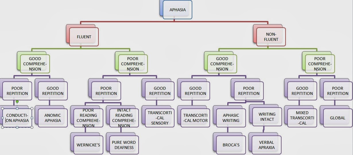 Aphasia Types