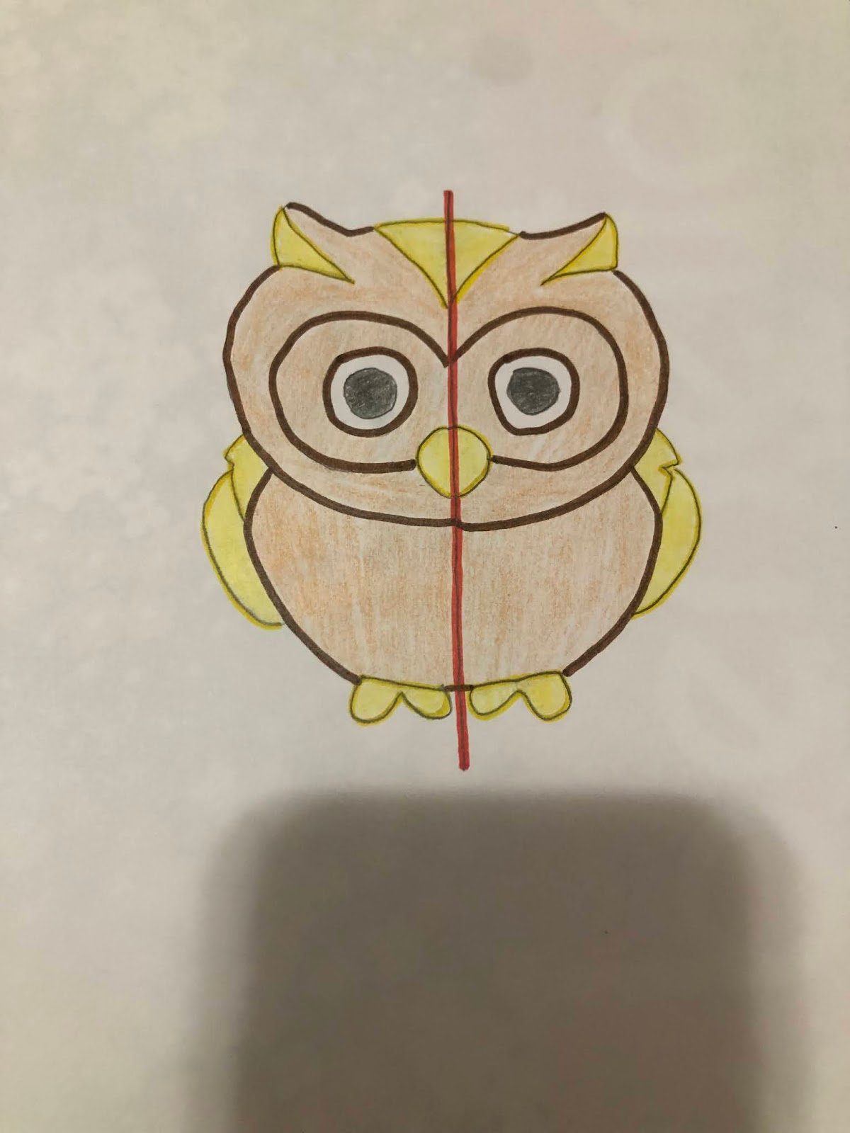 CARAZONY 4º B: ANIMALES SIMÉTRICOS