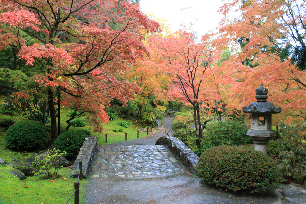 Japanese Zen Garden: Zen Bridge - Pond - Path