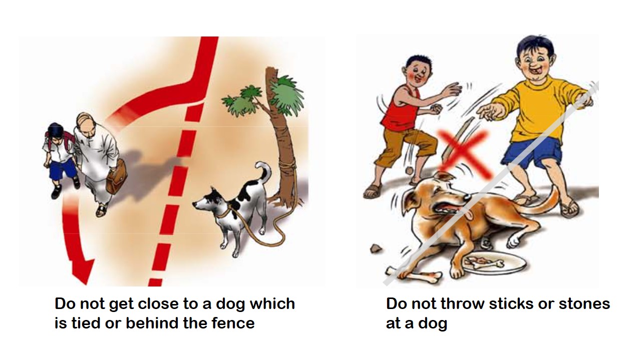 The Family physician : How to prevent dog bites?