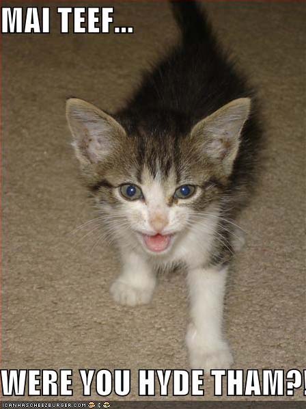 Photography: 05/19/13