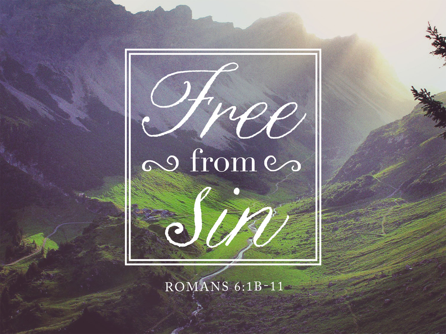 Winning The Battle Over Sin {Romans 6} - Women in the Word