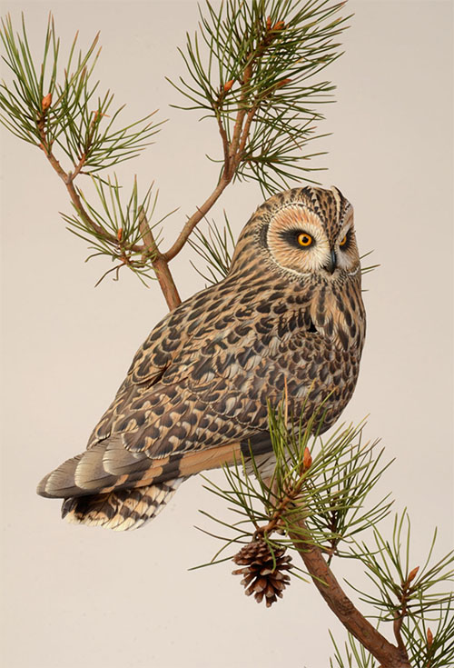 My Owl Barn: Wood Carved Decoys and Bird Sculptures by Award Winning ...