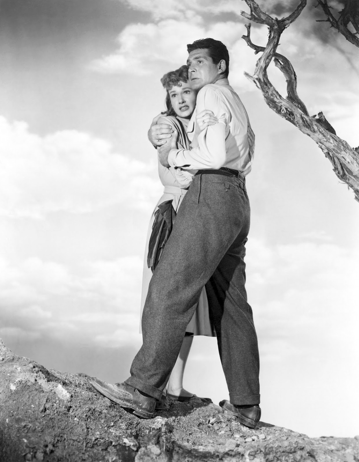 Slice of Cheesecake: Ann Robinson, pictorial