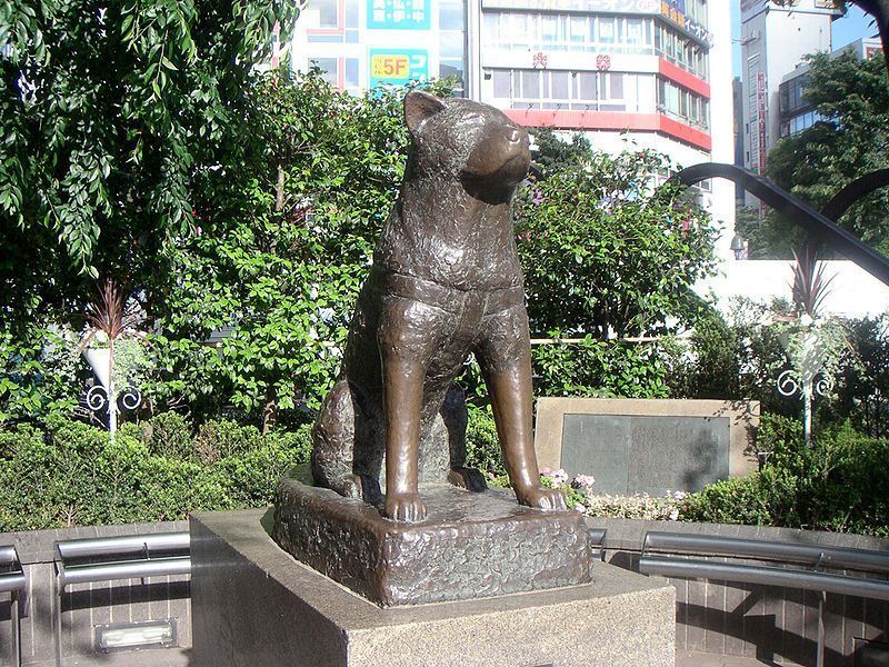 Rare Photos of Hachikō, the World’s Most Loyal Dog ~ Vintage Everyday