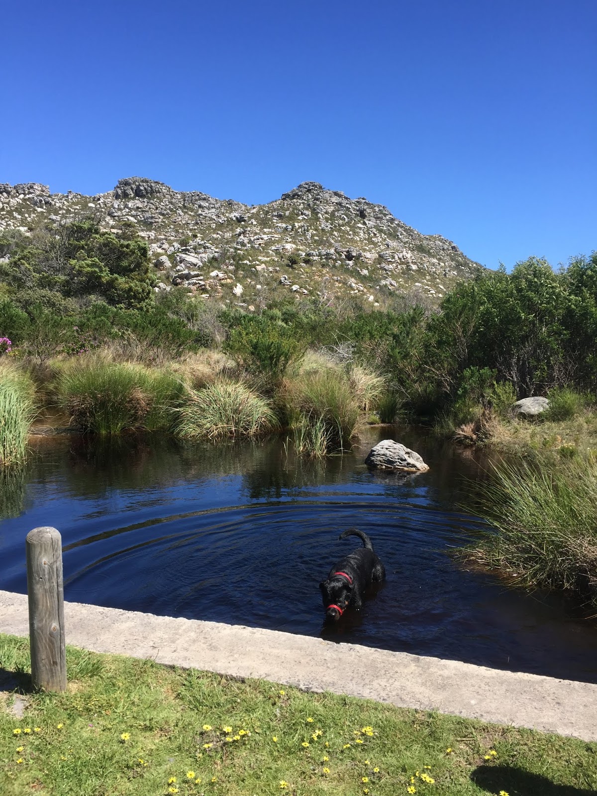 Have you tried the Silvermine River Walk?
