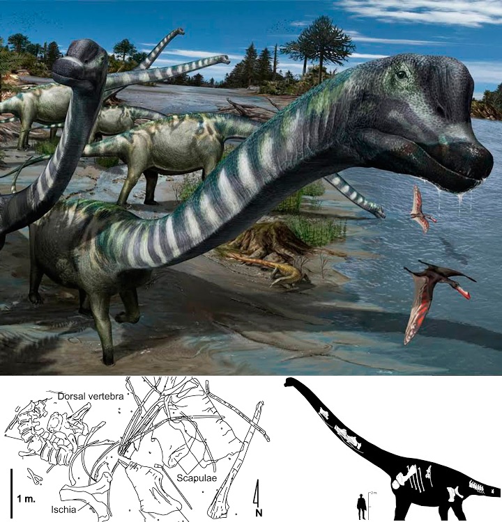 Species New to Science: [Paleontology • 2017] Europatitan eastwoodi • A ...