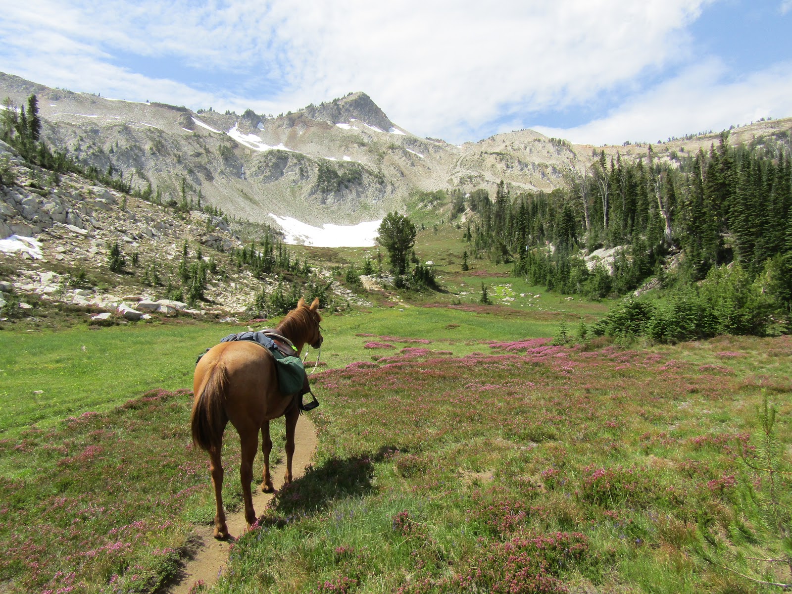 Holly's Horse Tales and Trails: Two Pan, Irondyke, Boundary and ...