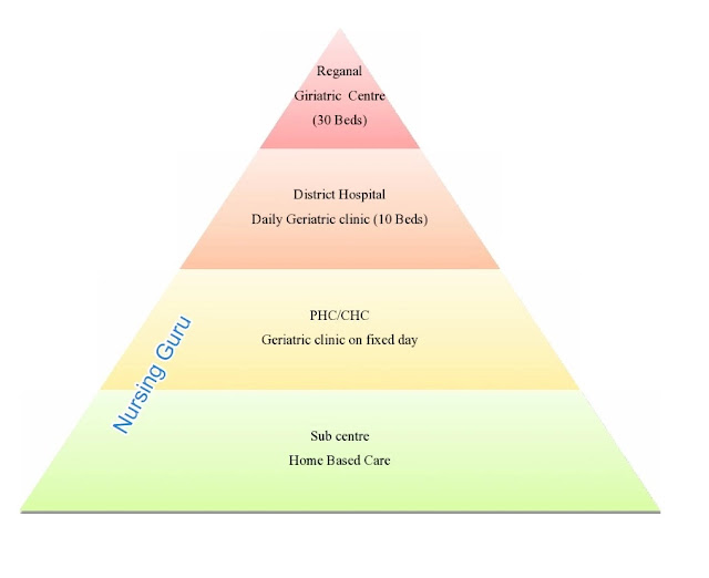 National program for the health care of the elderly [NPHCE] ~ Nursing Guru